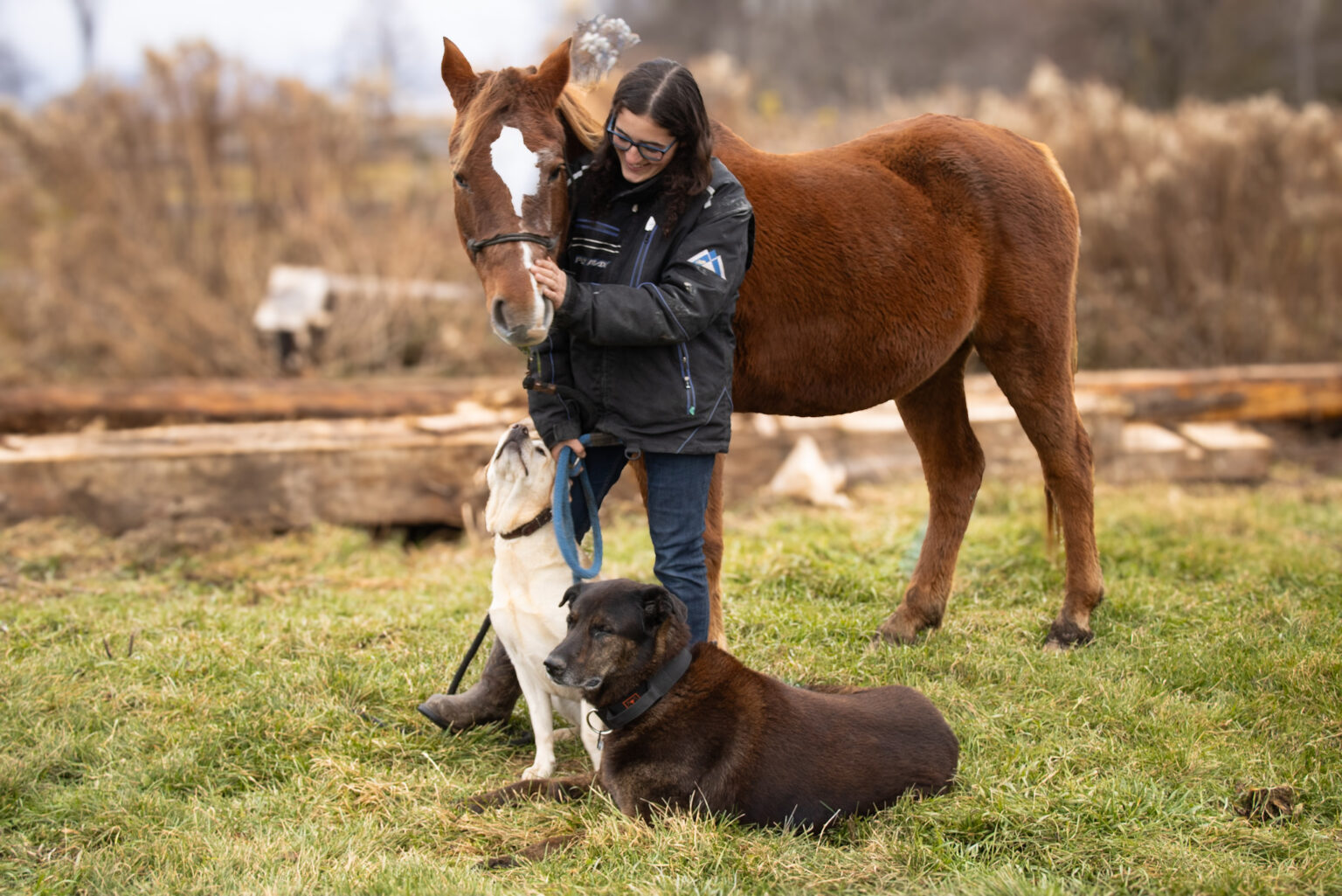 Canine Partners Canada | Service Dog Training & Handling | Ontario ...